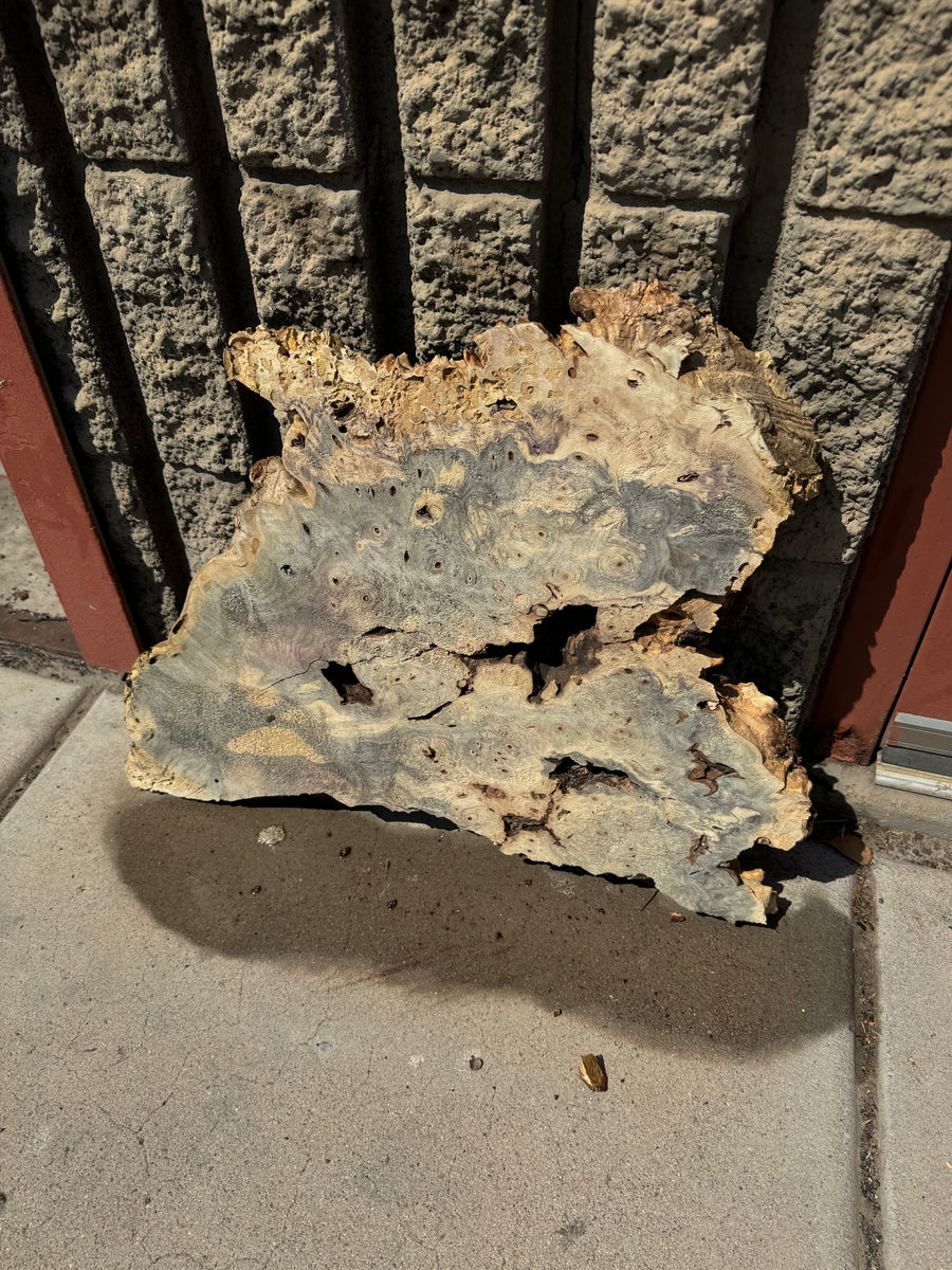 Buckeye Burl Slab – Unique Wood Supply and Design LLC