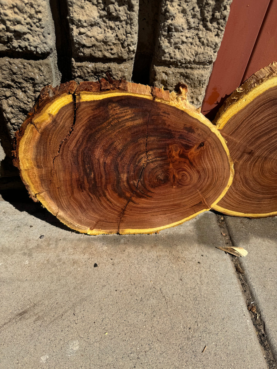 Mesquite Round Slabs – Unique Wood Supply and Design LLC