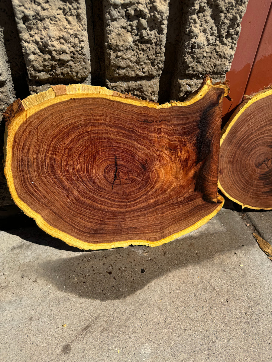 Mesquite Round Slabs – Unique Wood Supply and Design LLC
