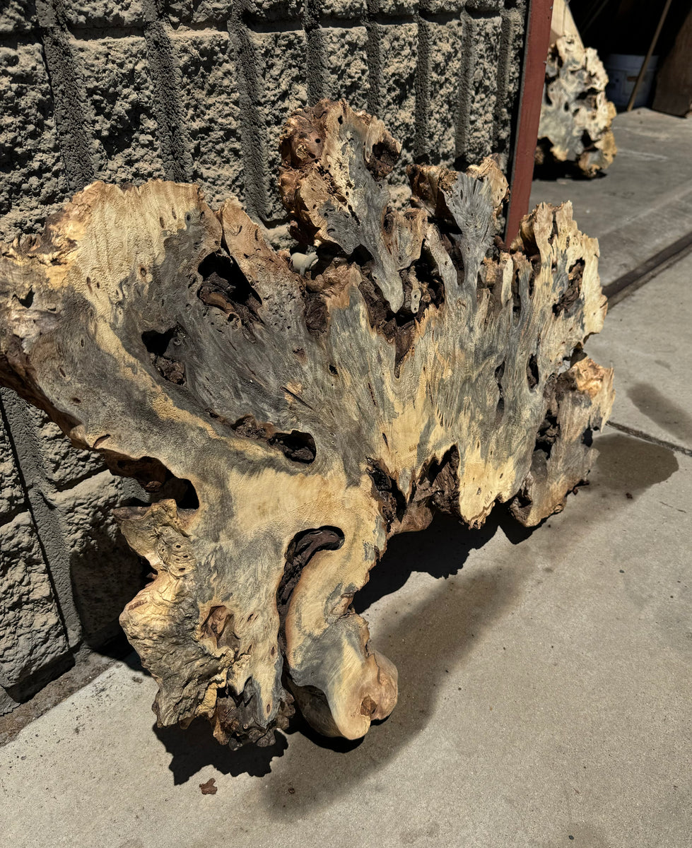 Buckeye Burl Slab – Unique Wood Supply and Design LLC